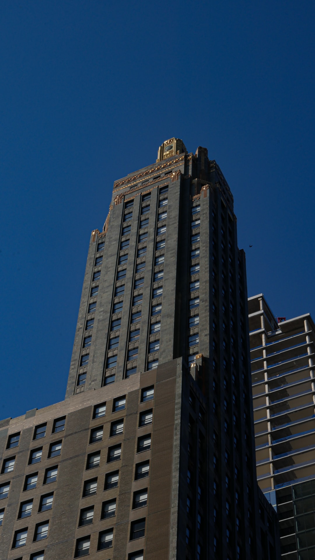 A Beginner's Guide to Forex Trading: How My Lion Brokers Can Help You ...